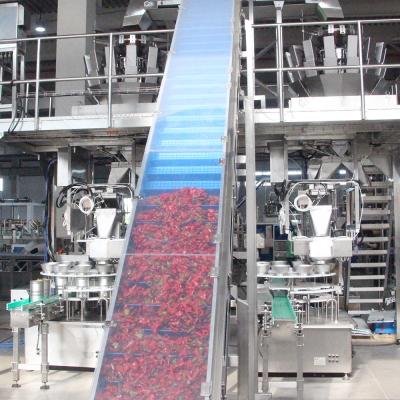 China Fully Automatic Pepper Filling Machines Weighing And Filling Machine for sale