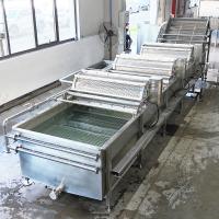 China CE Certified Automatic Vegetable Bubble Washing Machine for sale