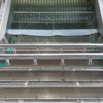 China Energy Saving Automatic Pepper Vegetable Washing Machine CE for sale