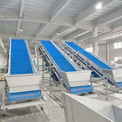 China Spinach quick freezing line Fruit and vegetable quick freezing processing equipment for sale