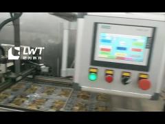 Машины для вакуумной упаковки с термоформирующим термообразованием с непрерывным растяжением пленки