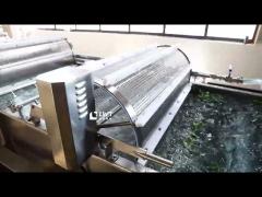 Energy Saving Automatic Pepper Vegetable Washing Machine CE