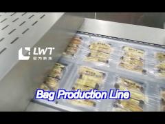 Donkey Hide Gelatin Vacuum Packaging Production Line Thermoforming Vacuum Packaging Machine