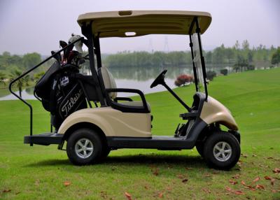 China Electrical Mini 2 Seater Club Golf Carts 48V 3KW With Caddy Plate CE Approved for sale