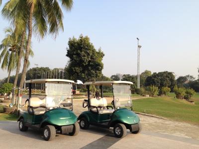 China 2 Seater Small Electric Golf Carts For Golf Courses With Brake Control for sale