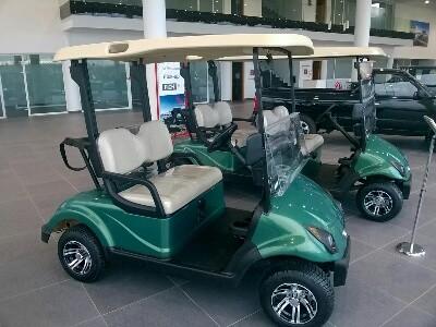 China Green 48V 3KW Precedent 2 Seater Golf Carts With Rear Drum Brake For Golf Courses for sale