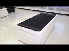 110V/220V/240V PEMF Sauna Mattress with 1 Heating Zone for Cellular Repair Support