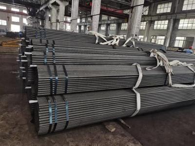 Cina Tubi senza cuciture del metallo della caldaia per l'attrezzatura trattata T11, T12 del trasferimento di calore in vendita
