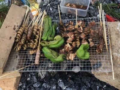 China Rust-Proof Coating Stainless Steel Barbecue Net Boosts Service Lifespan for sale