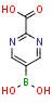 China 2-Carboxypyrimidine-5-boronic acid; cas: 1814939-13-3;Purity:95%; Formula C5H5BN2O4 for sale