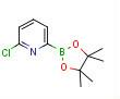 China 6-Chloropyridine-2-boronic acid pinacol ester; cas: 652148-92-0; 95%min; Store in freezer, under -20°C; C11H15BClNO2 for sale