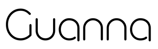 Guangzhou Guanna Auto Parts Trading Co., Ltd.
