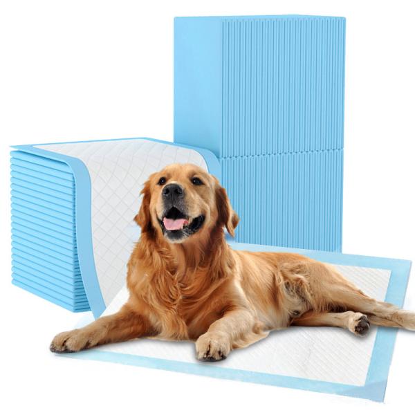 Quality CE ISO9001 S M L XL Disposable Puppy Training Pads 50pcs Per Bag for sale