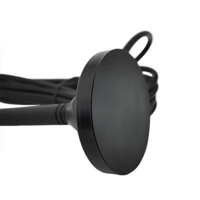 Cina La forte base magnetica ha amplificato la frusta della lega di rame dell'antenna 1-2dBi della TV in vendita