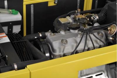 Cina Generatore di benzina a gas naturale a GPL da 20 kW con avvio elettrico e tensione nominale di 380 V in vendita