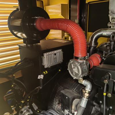 Cina Set di generatore di gas Weichai di alta quantità da 200 kW con tipo silenzioso e certificato CE/ISO in vendita