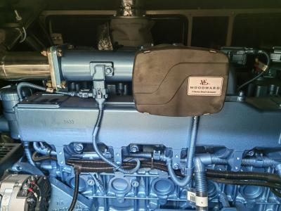 Cina Generatore elettrico a gas di metano da 250 kW a 3 fasi con motore Weichai e certificato CE/ISO in vendita