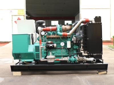 Cina Classe di protezione IP23 Generatore di metano Cummins 60KVA per il progetto di biogas CHP in vendita