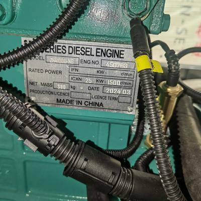 Cina 36A corrente nominale 20KW 25KVA Generatore a gas naturale con certificazione CE ISO CCS in vendita