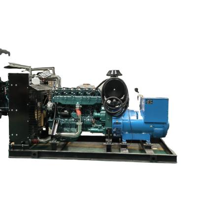 中国 水冷 1000kW 1MW 天然/LPG/バイオガス 材料付き 静かな/オープン型発電機 販売のため