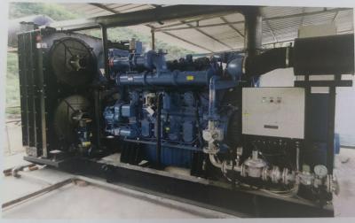 Cina Generatore di biogas da 100 KVA con avvio elettrico e alternatore senza spazzole in rame puro in vendita