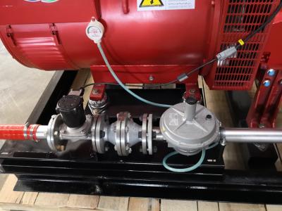 China Yuchai 200KW 250KVA aardgas biogas generator ingesteld stabiel en voor 24 uur operatie Te koop