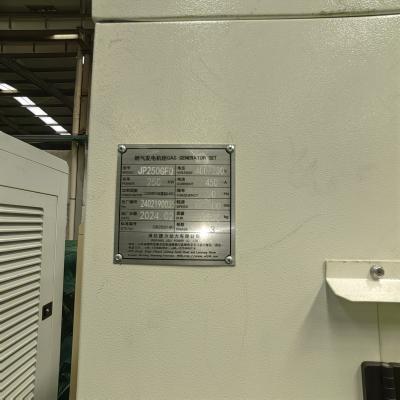 China 230/400V 300KVA 250kw Super Silent Super geluidsdicht Biogas LPG Biomassa Natuurgas Generator Set Te koop