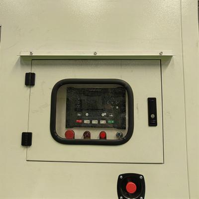 China 230/400V 300KVA 250kw Super Silent Super geluidsdicht Biogas LPG Biomassa Natuurgas Generator Set Te koop