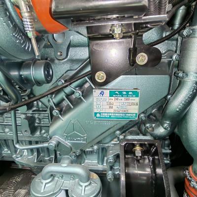 China 230/400V 300KVA 250kw Super Silent Super geluidsdicht Biogas LPG Biomassa Natuurgas Generator Set Te koop