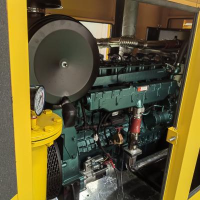 China 250KVA 200kw Super Silent Super geluidsdicht Biogas LPG Biomassa Natuurgas Generator Set Te koop