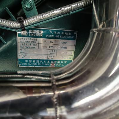 中国 312.5KVA バイオガス CNG パワー ゲンセット プラント 石炭 天然ガス 発電機 250kw 販売のため