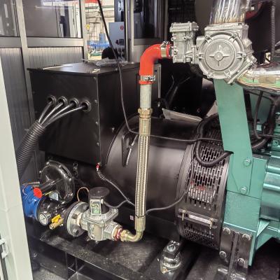 Cina 1MW 2MW generatore di gas naturale monofase 3 fase Biogas Good Genset Classe di protezione IP23 in vendita