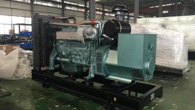 中国 50HZ/60HZ周波数 天然ガス 250kw SINOTRUK T12D 製造用待機発電機 販売のため