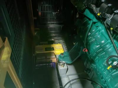 China Automatische start 344kVA biogasgenerator/LPG-generator met WEICHAI WP13D317E300NG-motor Te koop