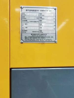 China 250kw 150kw 200kw 50/60HZ Waterkoeling Biogas Natuurgas Genset CE/ISO gecertificeerd Te koop