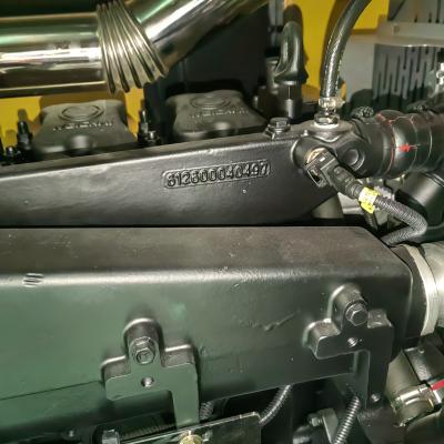 Cina 180A Corrente nominale 1 MW Motore a biogas a turbina a gas Generatore di motore 1000kW per 230/400V in vendita