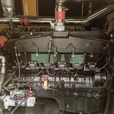 Cina 180A Corrente nominale 1 MW Motore a biogas a turbina a gas Generatore di motore 1000kW per 230/400V in vendita