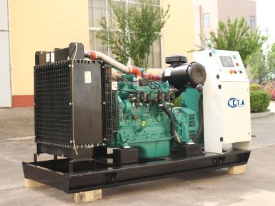 中国 1500RPM/1800RPM速さ 50KW LNG/LPG/バイオガス/天然ガス発電機セット 部品付き 販売のため