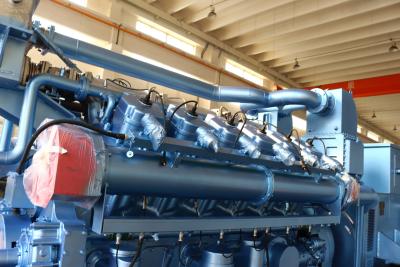 Cina 800 kW 1000kva Silent Natural Gas Power Plant Generator Set con classe di protezione IP23 in vendita