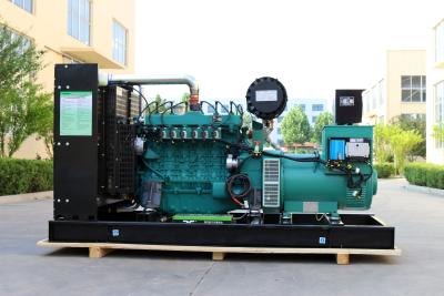 Cina Azionamento elettrico generatore di gas naturale/biogas/LPG da 200 kW con frequenza 50HZ/60HZ in vendita