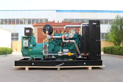Cina Azionamento elettrico generatore di gas naturale/biogas/LPG da 200 kW con frequenza 50HZ/60HZ in vendita
