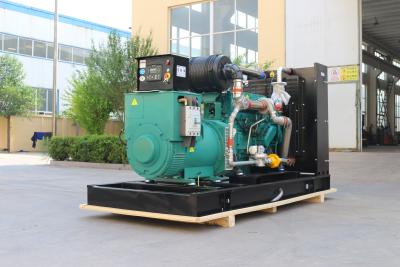 Cina Azionamento elettrico generatore di gas naturale/biogas/LPG da 200 kW con frequenza 50HZ/60HZ in vendita