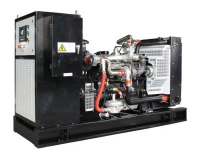 China 100% reines Kupfer, Bürstenloser Gasgenerator für KWK/CNG/Biogas 10-500kW zu verkaufen