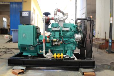 Cina Avvio chiave Generatore di biogas a gas naturale di tipo super silenzioso con frequenza 50 Hz/60 Hz in vendita