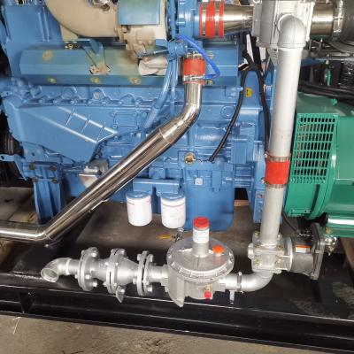 中国 電動スタート 50kw バイオガス CNG LNG LPG メタン発電機 販売のため