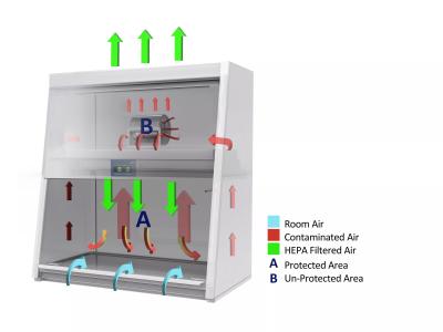 Китай Класс II А2 Кабинет биологической безопасности с глубиной 780 мм продается
