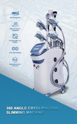 Cina Grasso congelando 360 gradi Cryolipolysis che dimagrisce contorno dell'ente professionale della macchina in vendita