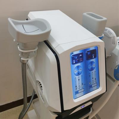 Cina 1000W crioterapia portatile Cryolipolysis che dimagrisce le celluliti grasse di rimozione della gelata della macchina in vendita