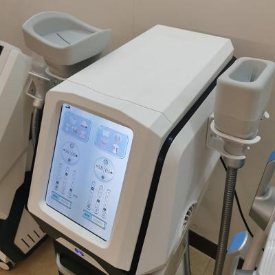 Cina 1000W crioterapia portatile Cryolipolysis che dimagrisce le celluliti grasse di rimozione della gelata della macchina in vendita
