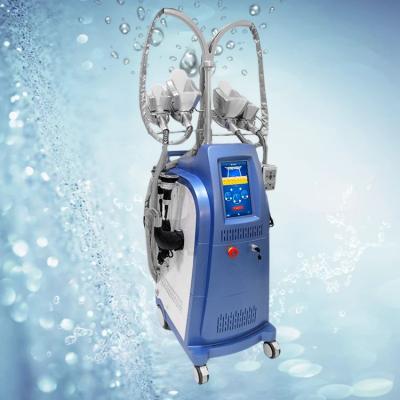 Cina 40K Cryolipolysis che dimagrisce la gelata grassa della macchina in vendita